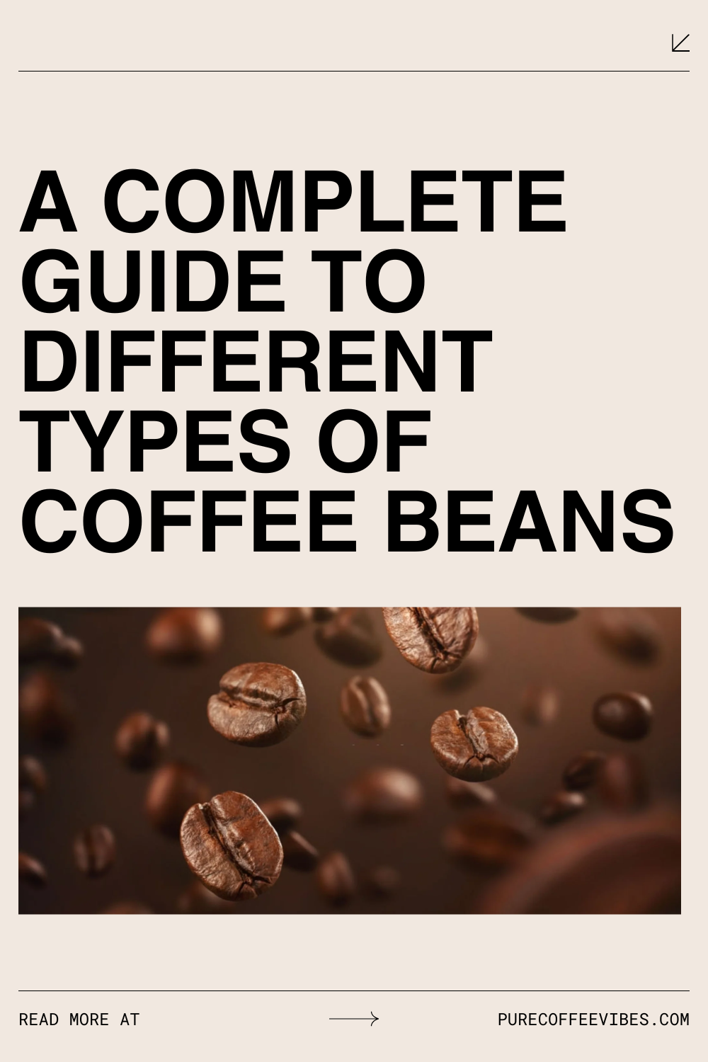 A guide to different types of coffee beans – Pure Coffee Vibes